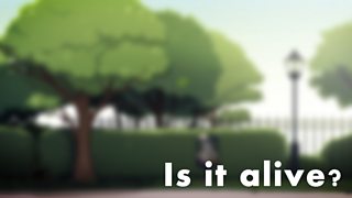 1st level Science - BBC Bitesize