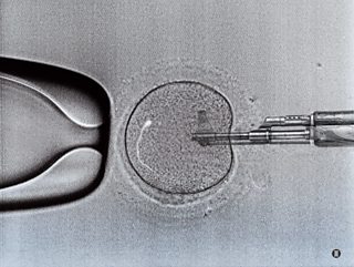 BBC Arts - BBC Arts - The Modern Face of Syria: Imranovi's art of war