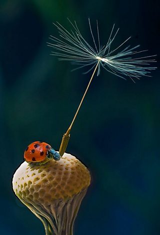 BBC Arts - Get Creative - The perfect storm: how everyday artist Steve ...