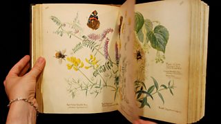 How do I write a successful diary? - BBC Teach