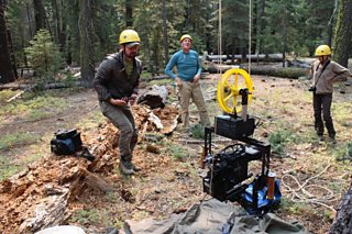 BBC Two - Wild West - America's Great Frontier - Into the Wild Woods