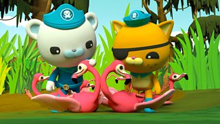 Underwater - CBeebies - BBC