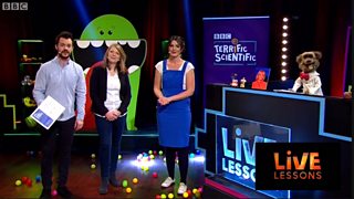 Taste: Lesson resources - BBC Teach