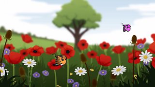 KS1 Science - BBC Bitesize