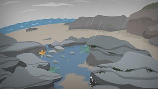 Oceans - KS1 - BBC Bitesize
