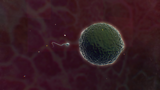 National 5 Biology questions - Reproduction - National 5 biology ...