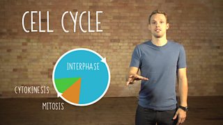 GCSE Combined Science - OCR Gateway - BBC Bitesize
