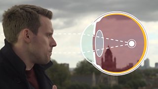 The human body - staying alive - GCSE Combined Science - BBC Bitesize