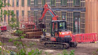 Deforestation - BBC News