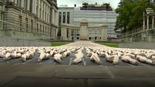 'Saluting, crying, praying' - emotional response to Somme art - BBC News