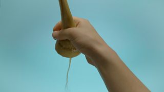 How to model digestion using tights - Nutrition, digestion and ...