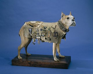 Who was Sergeant Stubby? - BBC Bitesize