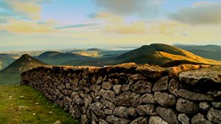 Biodiversity and Ecology - BBC Bitesize