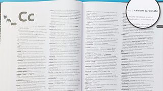 How to use a dictionary - BBC Bitesize