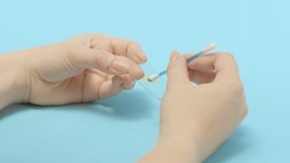 How to observe cells under a microscope - Living organisms - KS3 ...