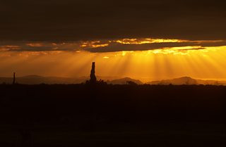 Could humans live without solar light? - BBC Teach
