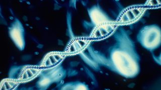 Discovering the structure of DNA - BBC Bitesize