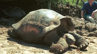 Discovering the structure of DNA - BBC Bitesize