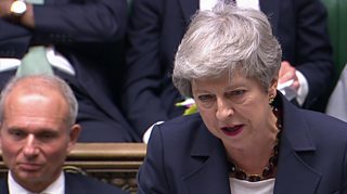 Labour peer Baroness Hayter sacked for 'last days of Hitler' jibe - BBC ...