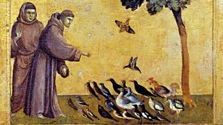 Does it matter how we treat animals? – KS3 Religious Studies – BBC Bitesize