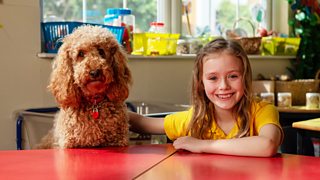 CBeebies Animals - CBeebies - BBC