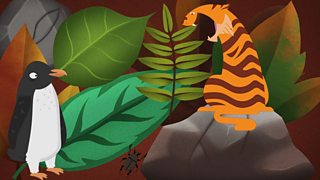 What is onomatopoeia? - BBC Bitesize