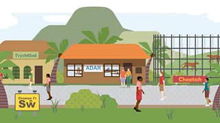 Creu trafodaeth – Trefnu dy drafodaeth - Cymraeg - Cyfnod Allweddol 2 ...