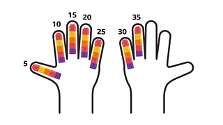 Divide by 5 - Maths - Learning with BBC Bitesize