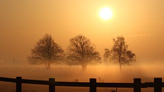 BBC - Pic of the Season - Autumn 2020