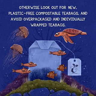 BBC Radio 4 - 39 Ways to Save the Planet - Five easy ways you can help ...