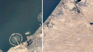 Internet i tehnologija: Punoletstvo najpoznatije internet lisice ...