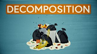 Computer networks - BBC Bitesize