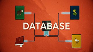 Input and output - BBC Teach