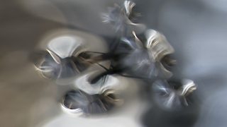 BBC Arts - BBC Arts - A walk on the photographic wild side with Chris ...