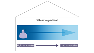 Solids, Liquids and Gases - BBC Bitesize