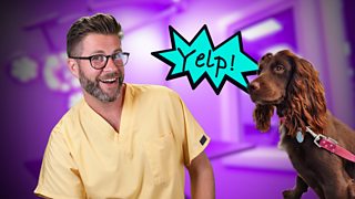 The Pets Factor - CBBC - BBC