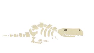 Fossils - BBC Bitesize