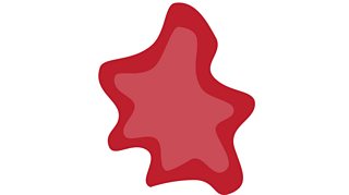 The circulatory system - BBC Bitesize