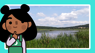 World Earth day | KS1 | Ages 5-7 - BBC Bitesize