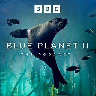 Greta Thunberg | Climate Change Activist