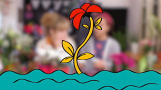 Plants - KS2 Science - BBC Bitesize