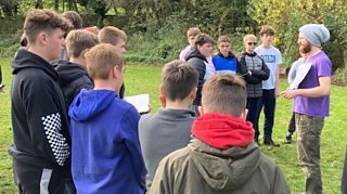 Deforestation - BBC News