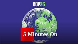 Effects of global warming - BBC News