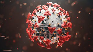 Apa itu Omicron: Hal-hal yang sejauh ini perlu diketahui tentang varian baru virus corona - BBC ...