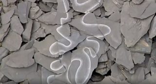 KS1 Art and Design: Vincent van Gogh - BBC Teach