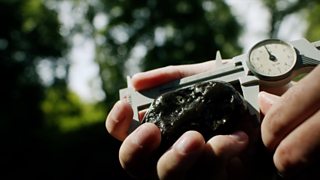 Field Work - KS3 Geography (Environment and society) - BBC Bitesize