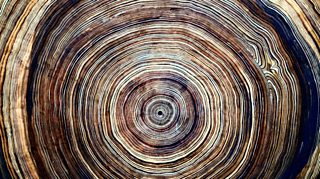 Natural shapes around the world - BBC Bitesize