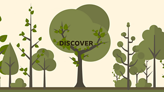 KS3 English - BBC Bitesize