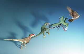 BBC Radio 4 - Radio 4 in Four - How did evolution turn a dinosaur into ...