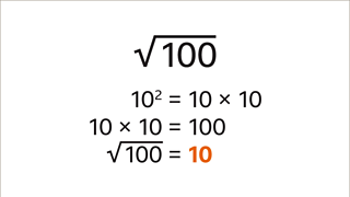 Roots - BBC Bitesize